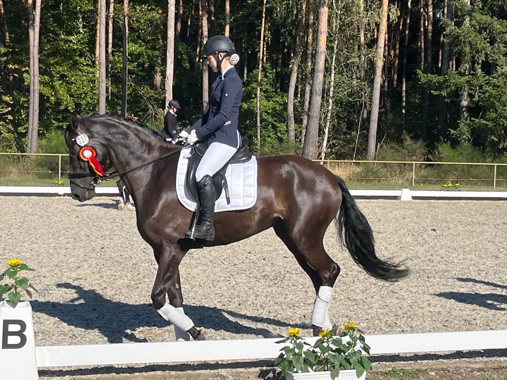 Bildergalerie – Reit- und Fahrverein Billigheim e.V.